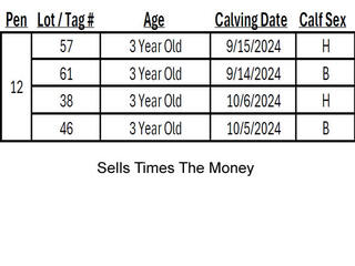 Lot 61: Stone Gate Farms Spring Production Sale - Commercial Female ...