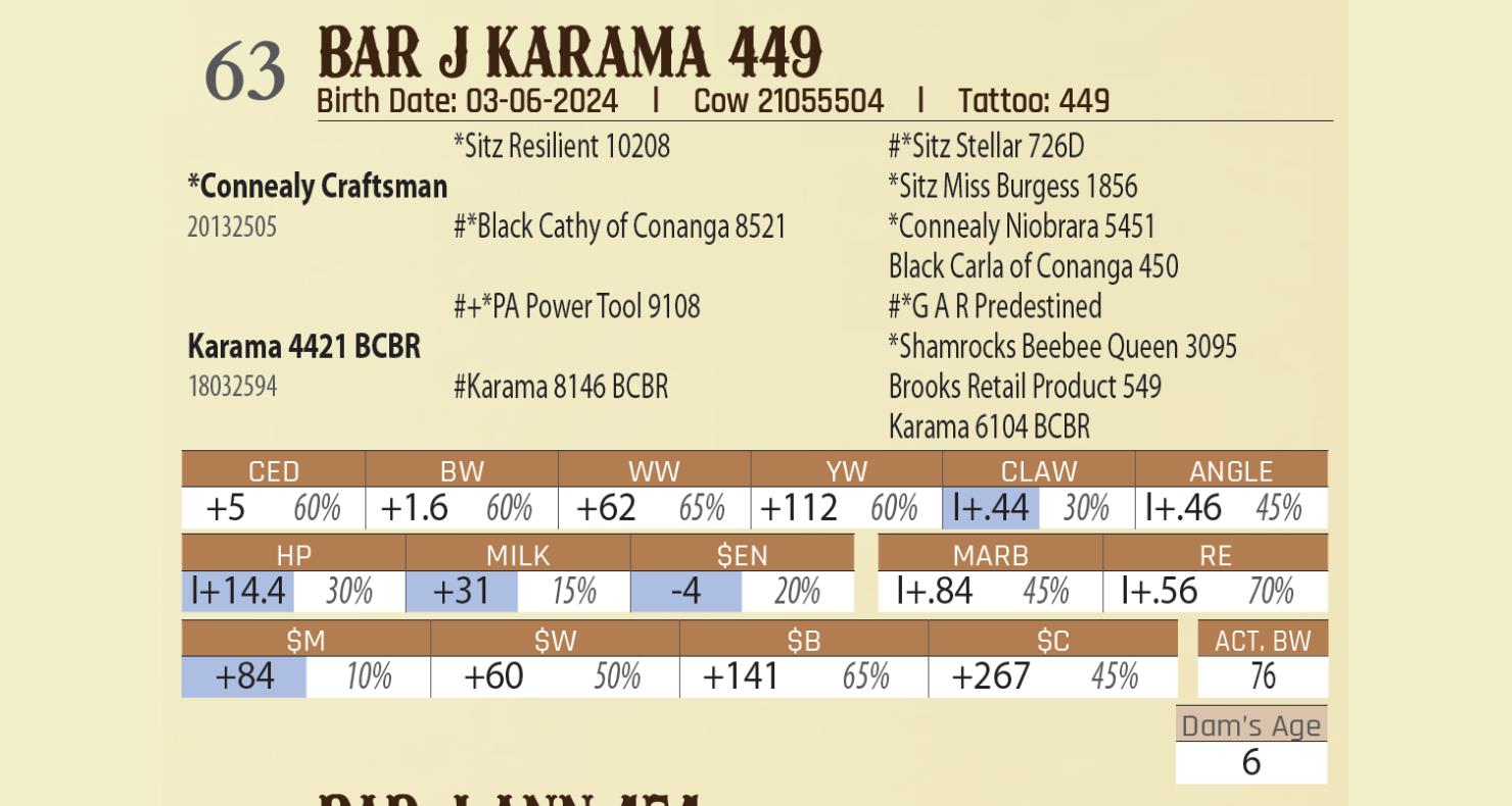 Lot 63: Bar J Ranch - Angus Bull & Heifer Sale | DVAuction
