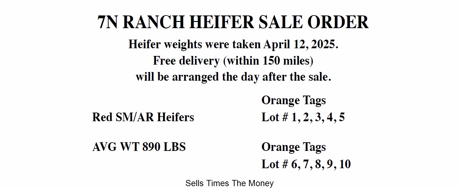 Lot 1-5orange: 7N Simmentals - 46th Annual Production Sale | DVAuction