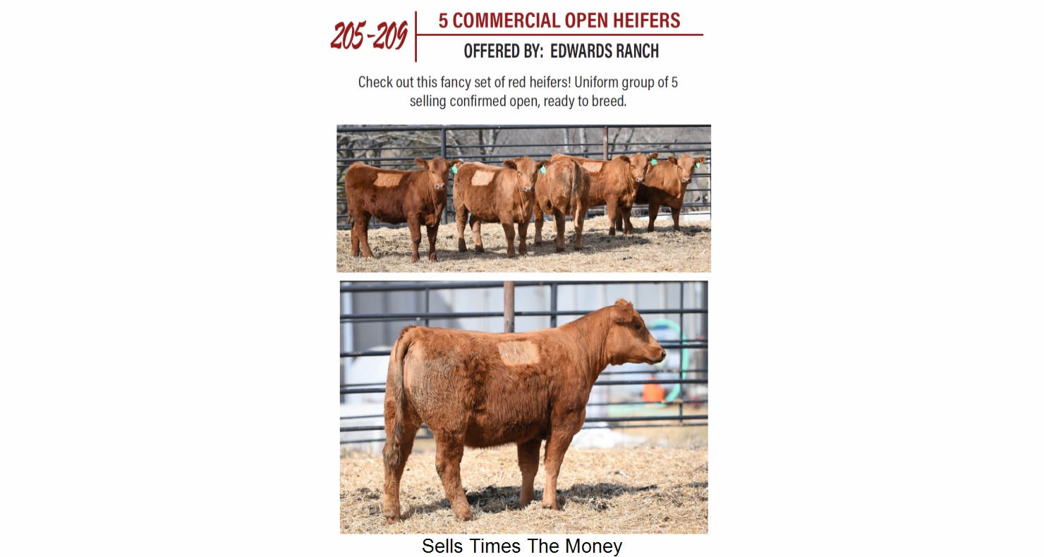 Lot 205-209: Missouri Red Angus Association - MORAA Show Me Reds Sale ...