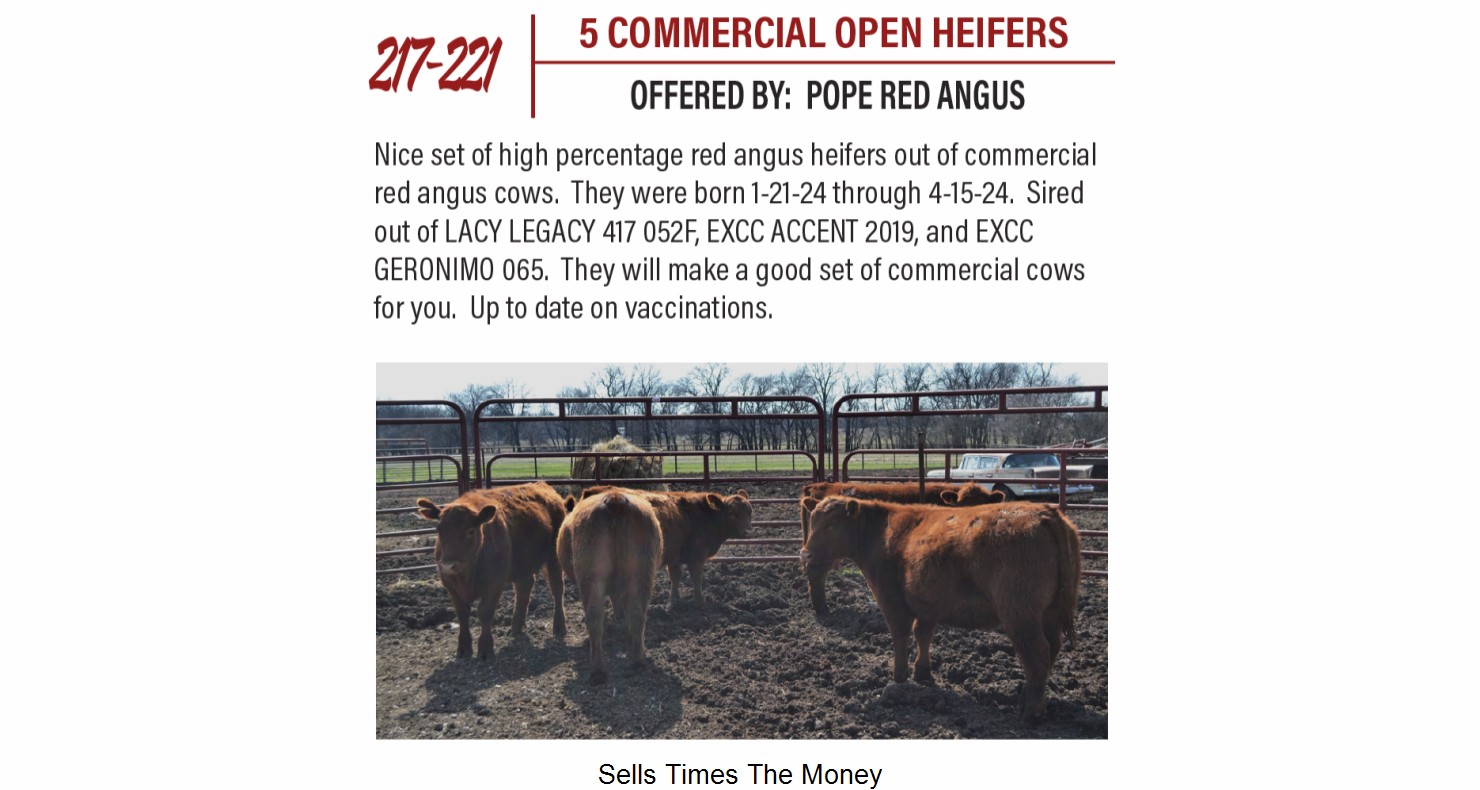 Lot 217-221: Missouri Red Angus Association - MORAA Show Me Reds Sale ...