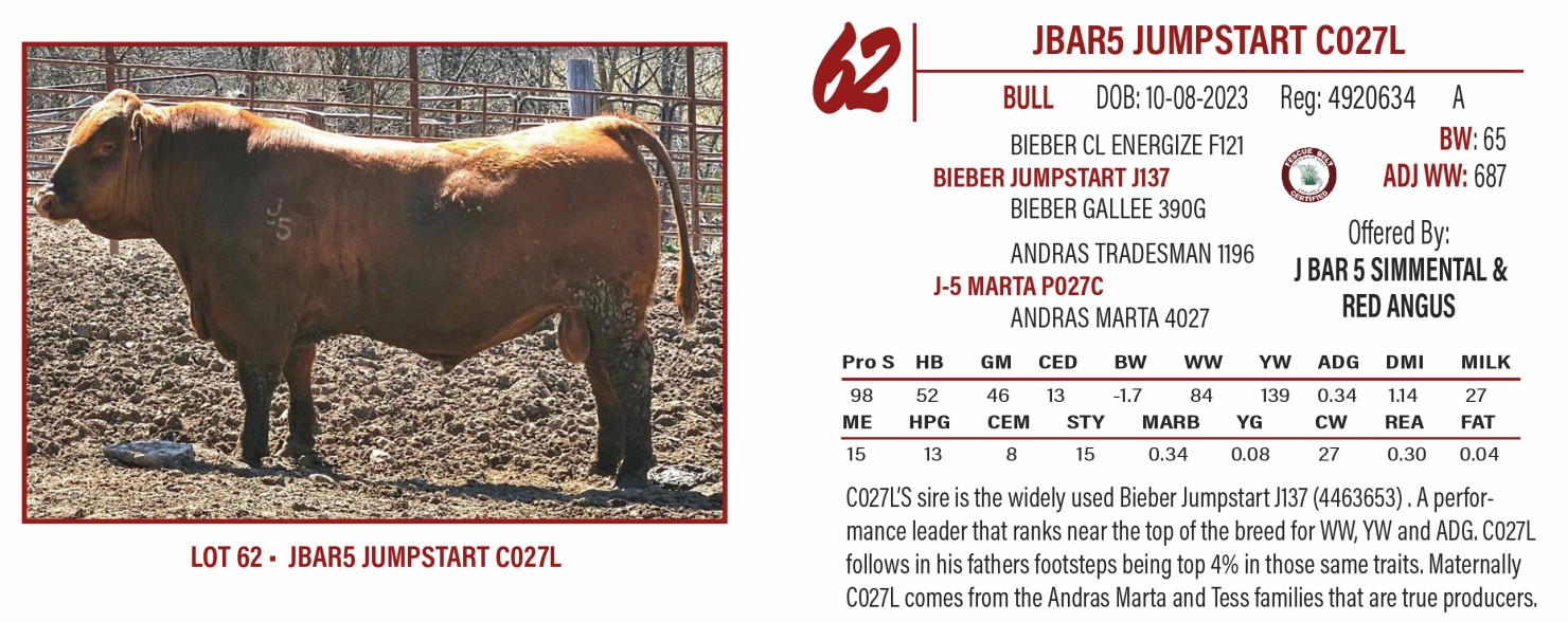 Lot 62: Missouri Red Angus Association - MORAA Show Me Reds Sale ...