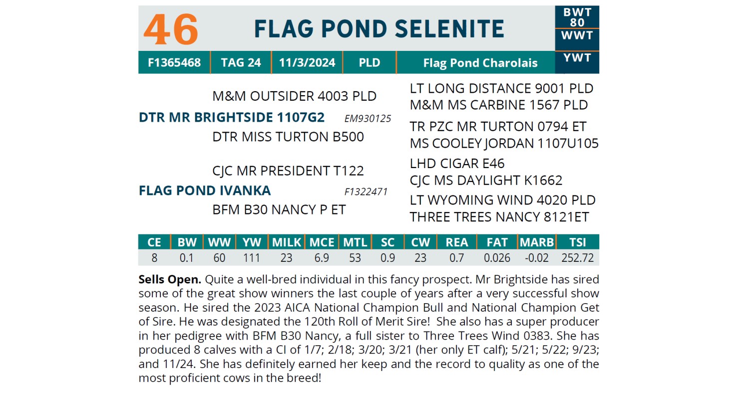 Lot 46: Outfront Cattle Service - Southern Connection Sale | DVAuction