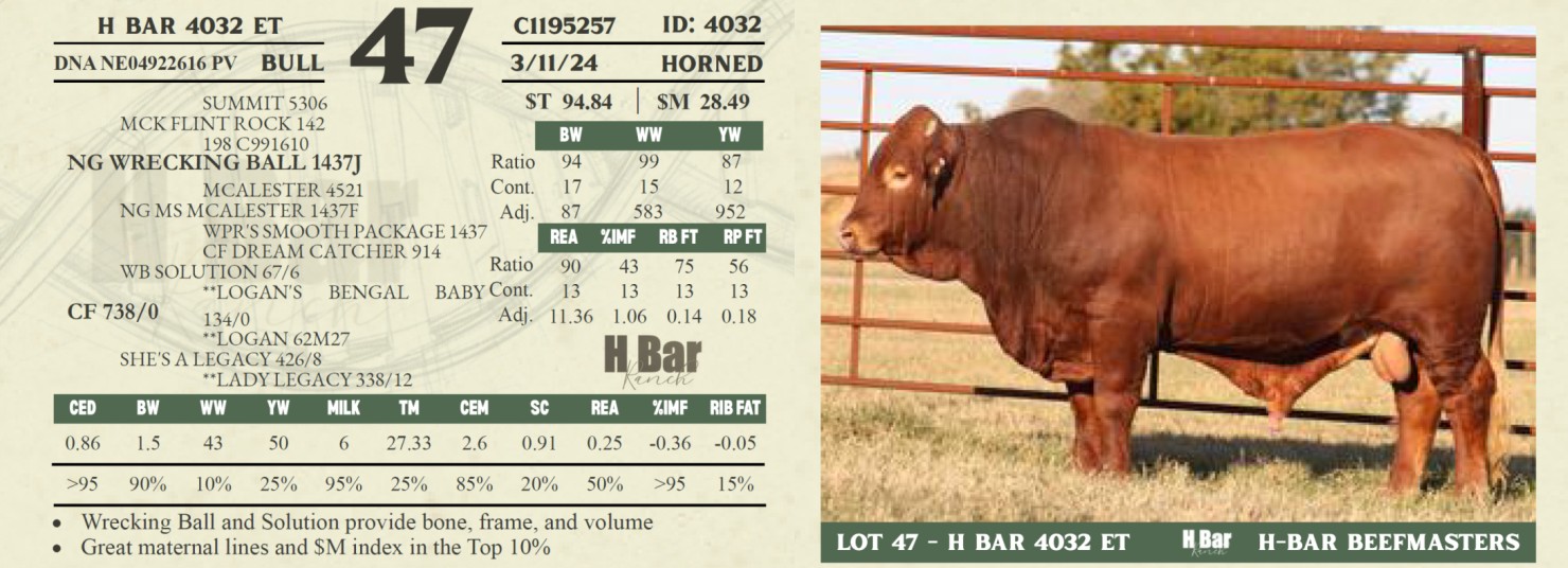 Lot 47: Genetic Investment Sale - Beefmaster Bull & All Breed Female ...