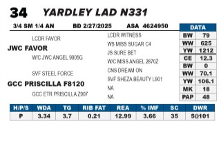 Lot 34: Yardley Cattle Co - 54th Annual Elite Bull Sale | DVAuction