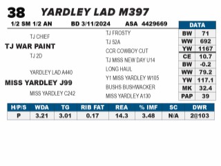 Lot 38: Yardley Cattle Company - 52nd Annual Elite Bull Sale | DVAuction