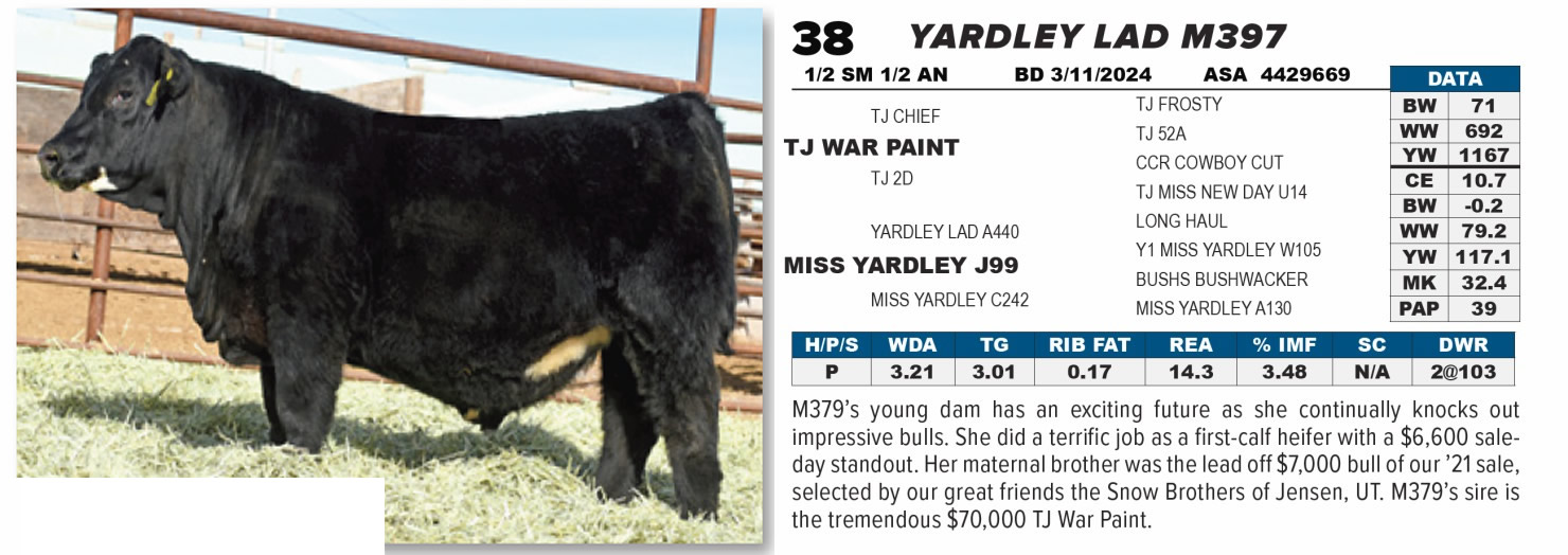 Lot 38: Yardley Cattle Company - 52nd Annual Elite Bull Sale | DVAuction
