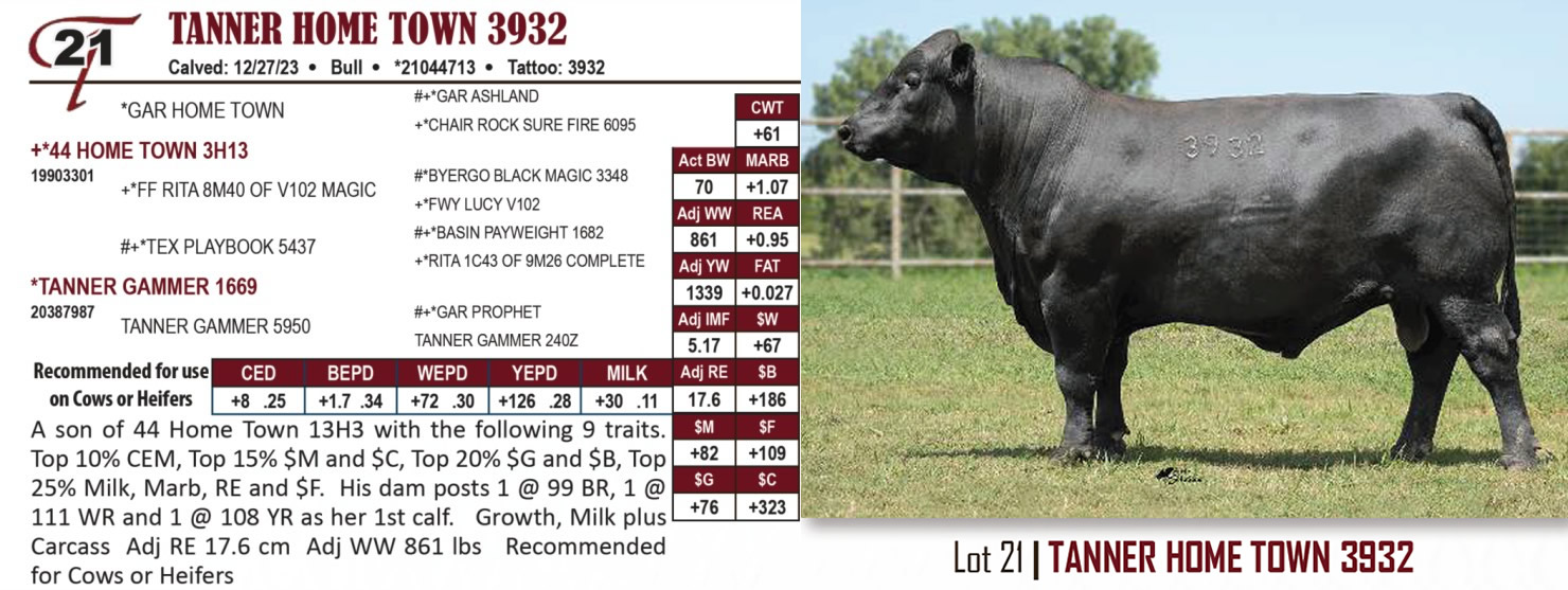 Lot 21: Tanner Farms LP - Pasture Performance - Tested Bull Sale ...