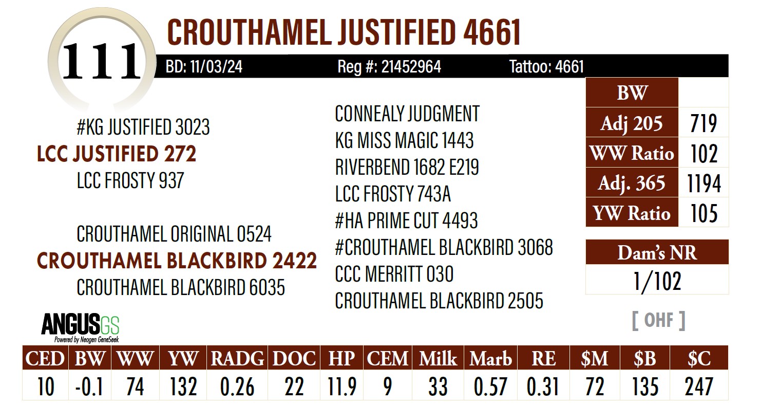 Lot 111: Crouthamel Cattle Co - Spring Bull Sale | DVAuction