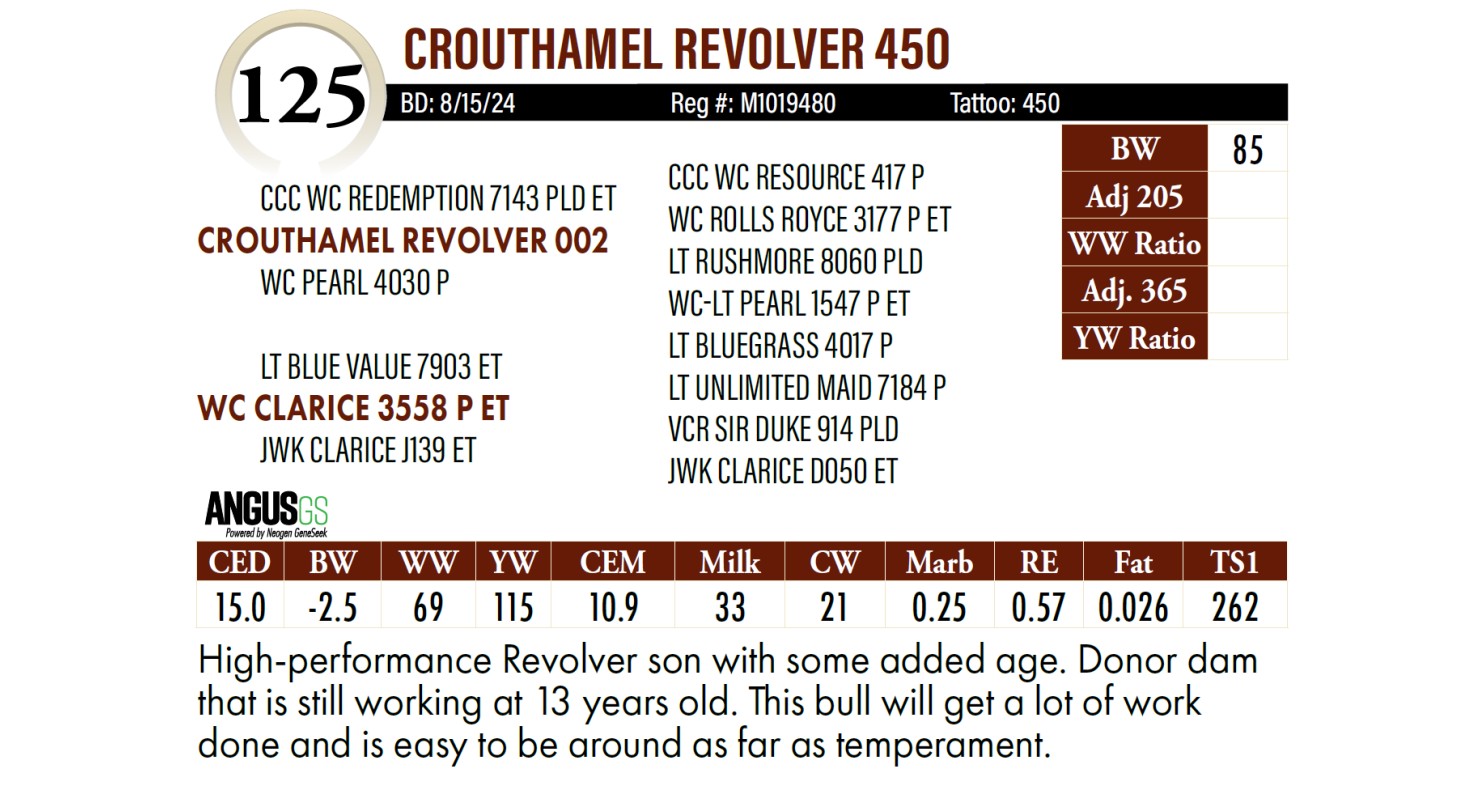 Lot 125: Crouthamel Cattle Co - Spring Bull Sale | DVAuction