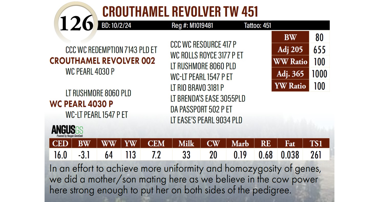 Lot 126: Crouthamel Cattle Co - Spring Bull Sale | DVAuction