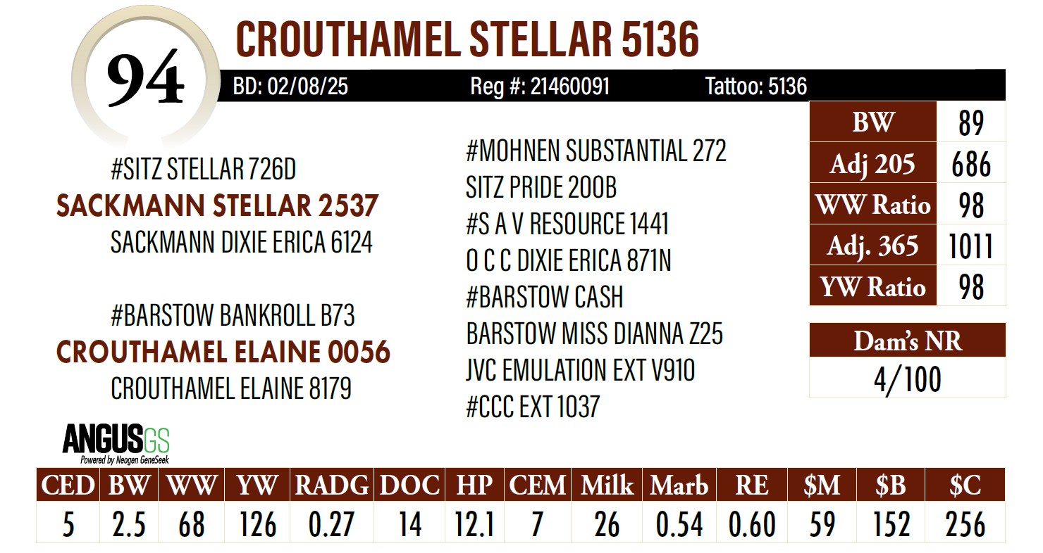 Lot 94: Crouthamel Cattle Co - Spring Bull Sale | DVAuction