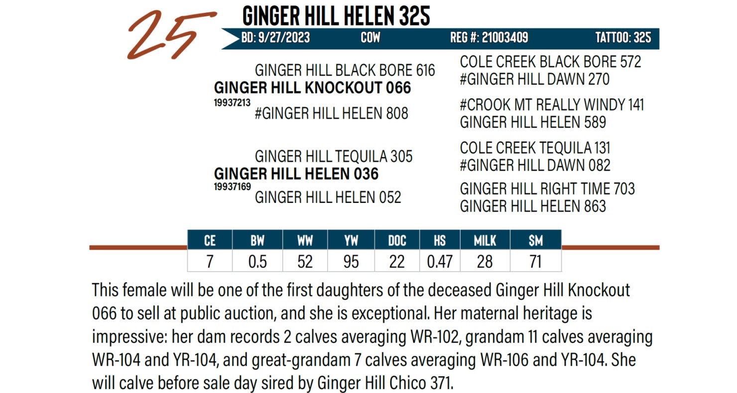 Lot 25: Ginger Hill Angus - Angus Bull & Female Sale | DVAuction