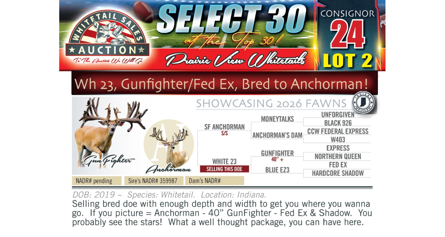 Lot 24-2: Whitetail Sales Auction LLC - Northern Top 30 | DVAuction
