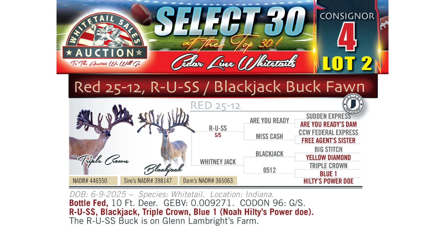 Lot 4-2: Whitetail Sales Auction LLC - Northern Top 30 | DVAuction