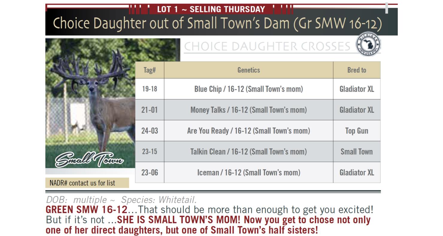 Lot t1-1: Whitetail Sales Auction LLC - Northern Top 30 Whitetail Sale ...