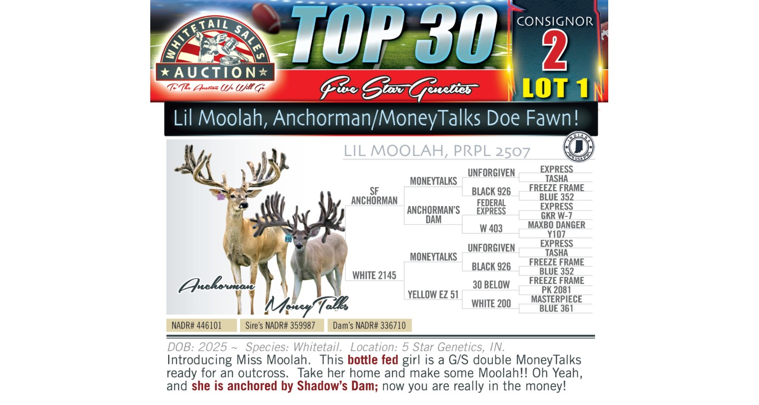 Lot t2-1: Whitetail Sales Auction LLC - Northern Top 30 | DVAuction