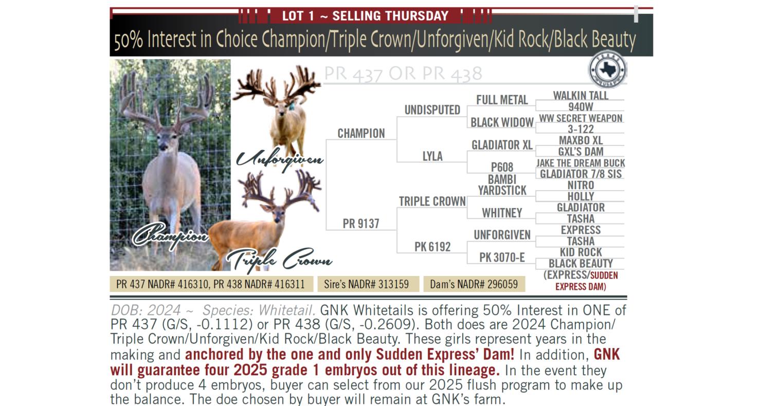 Lot t27-1: Whitetail Sales Auction LLC - Northern Top 30 Whitetail Sale ...