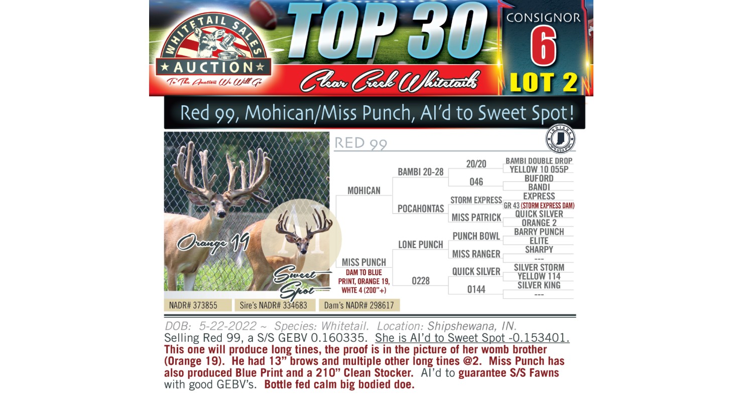Lot t6-2: Whitetail Sales Auction LLC - Northern Top 30 | DVAuction