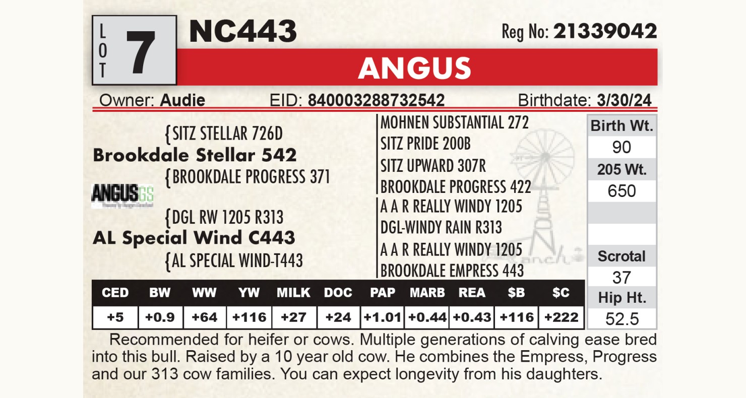 Lot 7: Larson Family Ranch - Annual 2 Yr Old Bull & Commercial Bred ...