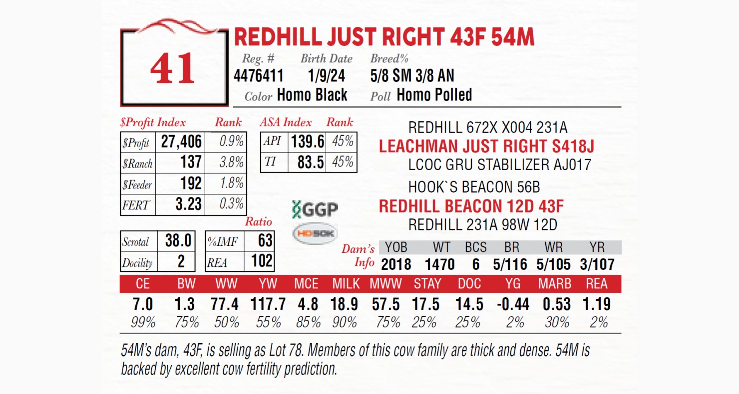 Lot 41: Red Hill Farms - Bulls & Females of Fall Sale | DVAuction