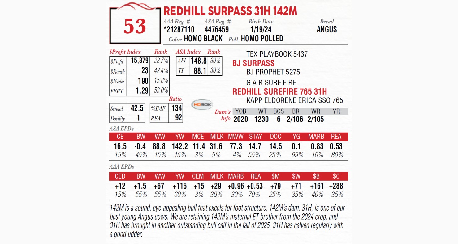 Lot 53: Red Hill Farms - Bulls & Females of Fall Sale | DVAuction