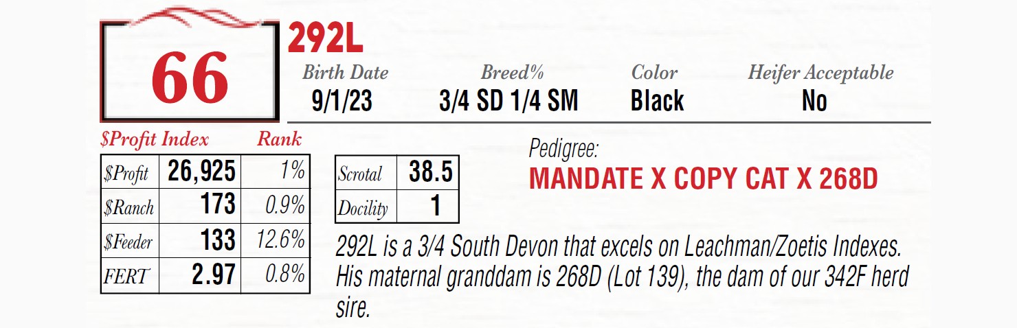 Lot 66: Red Hill Farms - Bulls & Females of Fall Sale | DVAuction