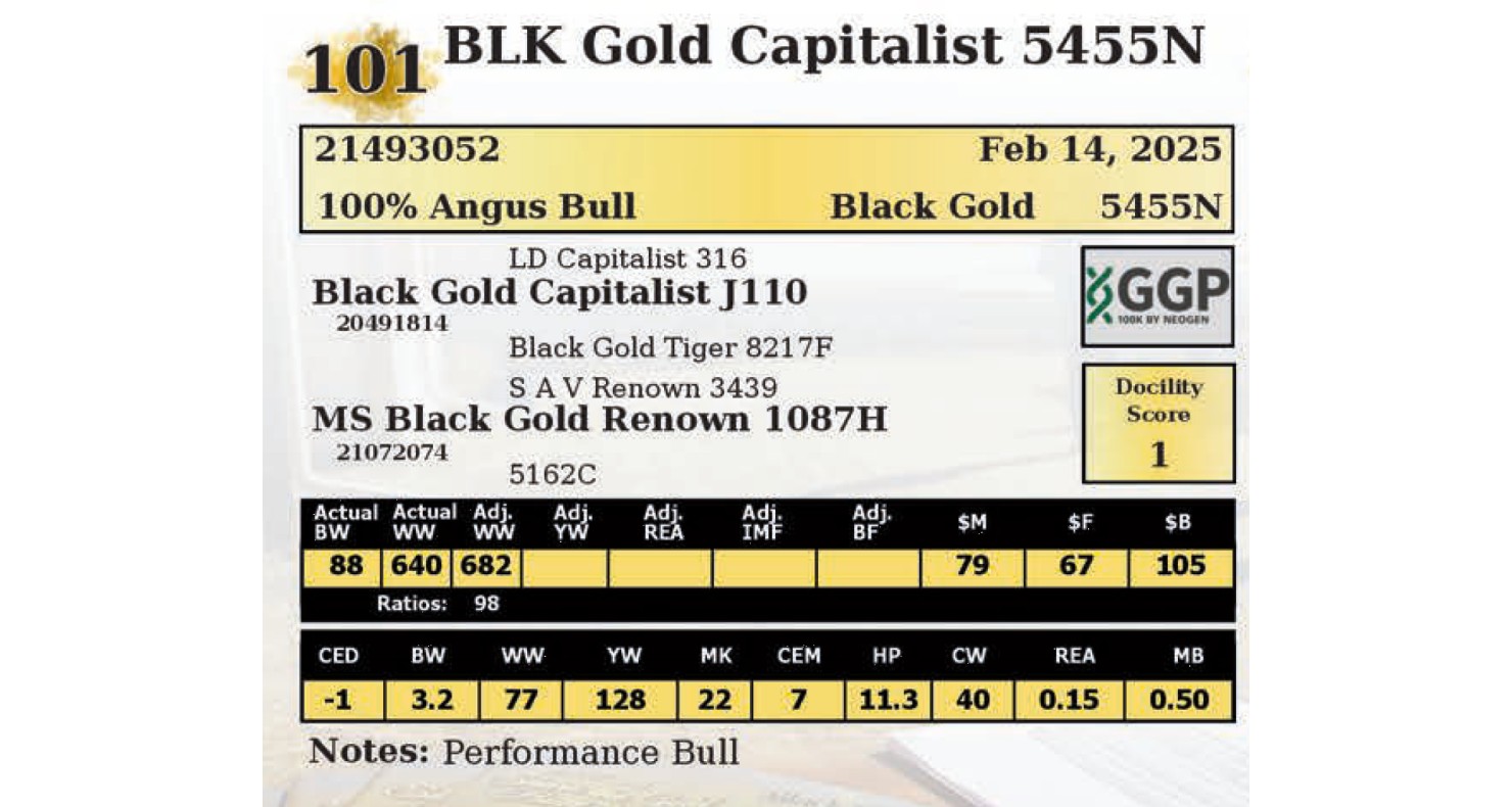 Lot 101: Black Gold Genetics - 20th Annual "Share the Gold" Sale ...