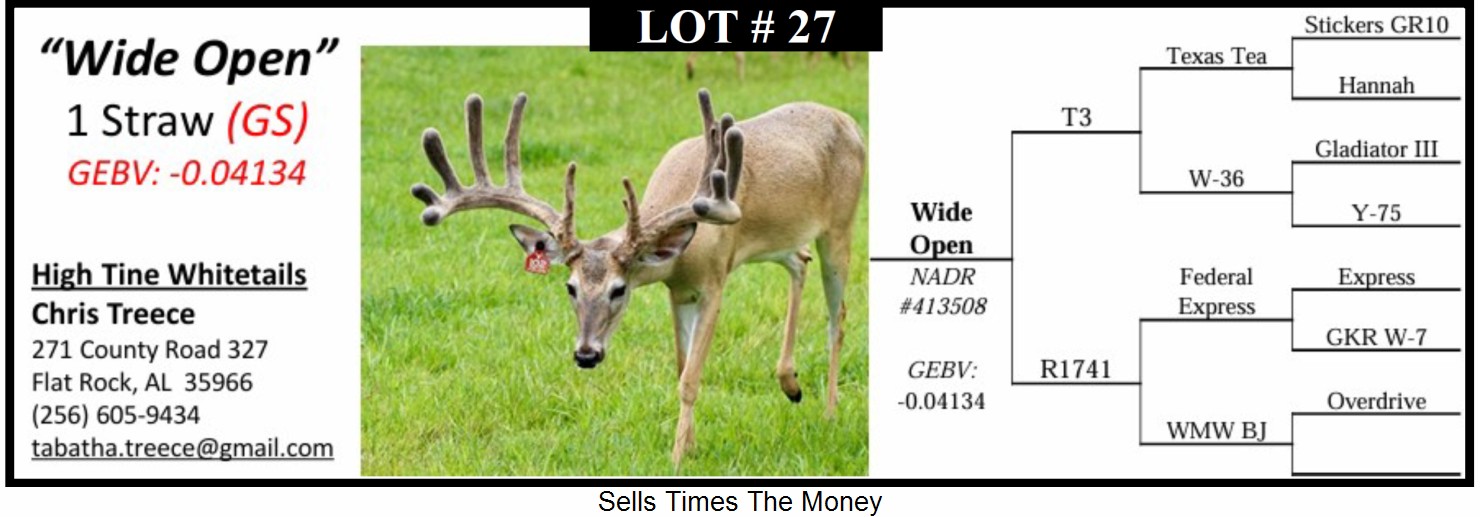Lot 27: Whitetails of Wisconsin - Benefit Auction | DVAuction