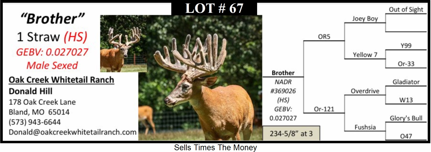 Lot 67: Whitetails of Wisconsin - Benefit Auction | DVAuction