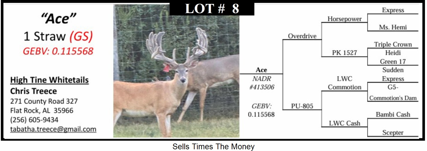 Lot 8: Whitetails of Wisconsin - Benefit Auction | DVAuction