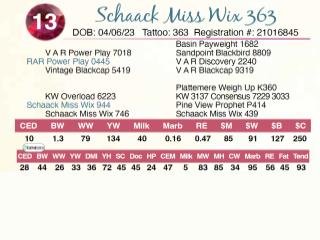 Lot 13: Schaack Ranch - Maternal Gems Angus Bred Females & Replacements ...