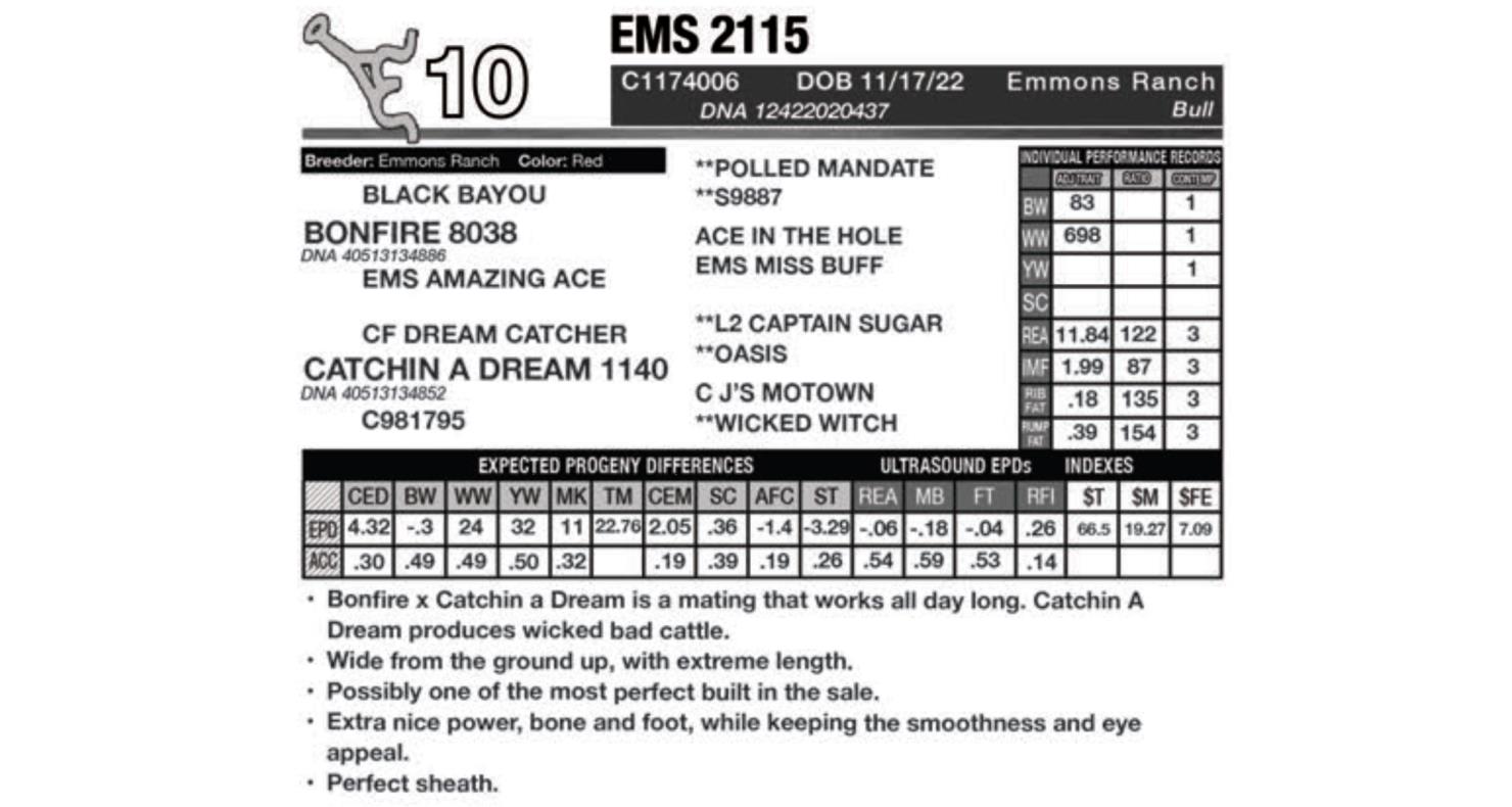 Lot 10: Emmons Ranch - Bull & Female Sale | DVAuction