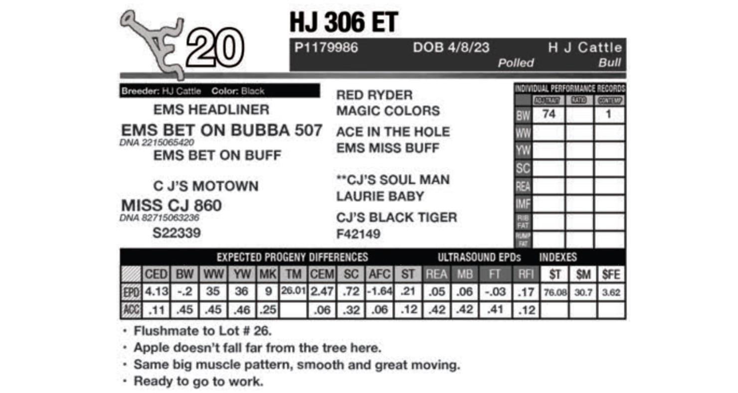 Lot 20: Emmons Ranch - Bull & Female Sale | DVAuction