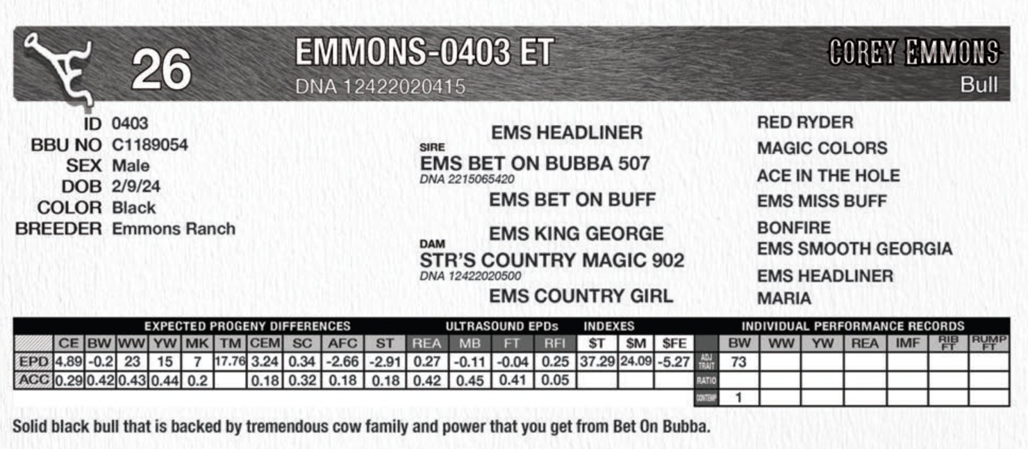 Lot 26: Emmons Ranch - Demand the Brand Bull & Female Sale | DVAuction