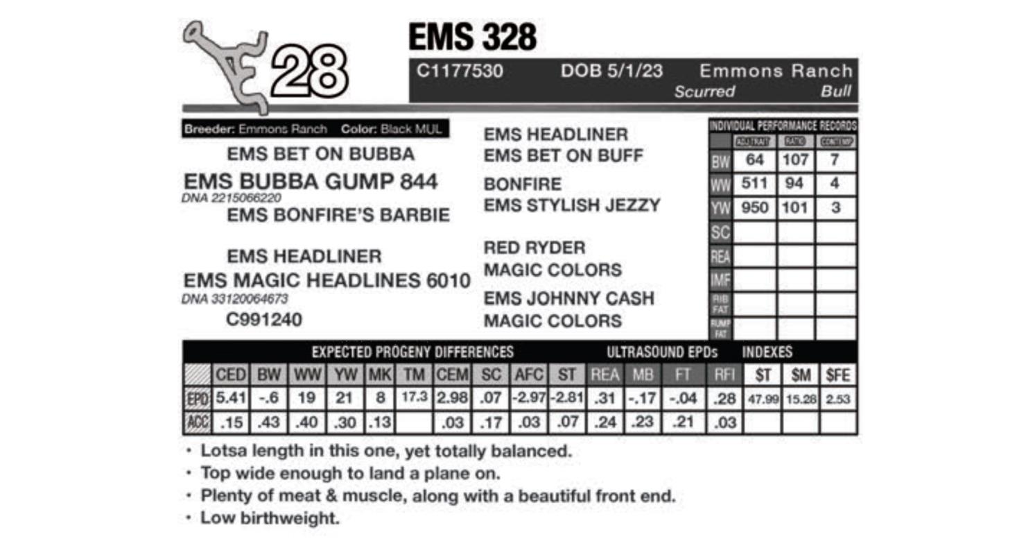 Lot 28: Emmons Ranch - Bull & Female Sale | DVAuction