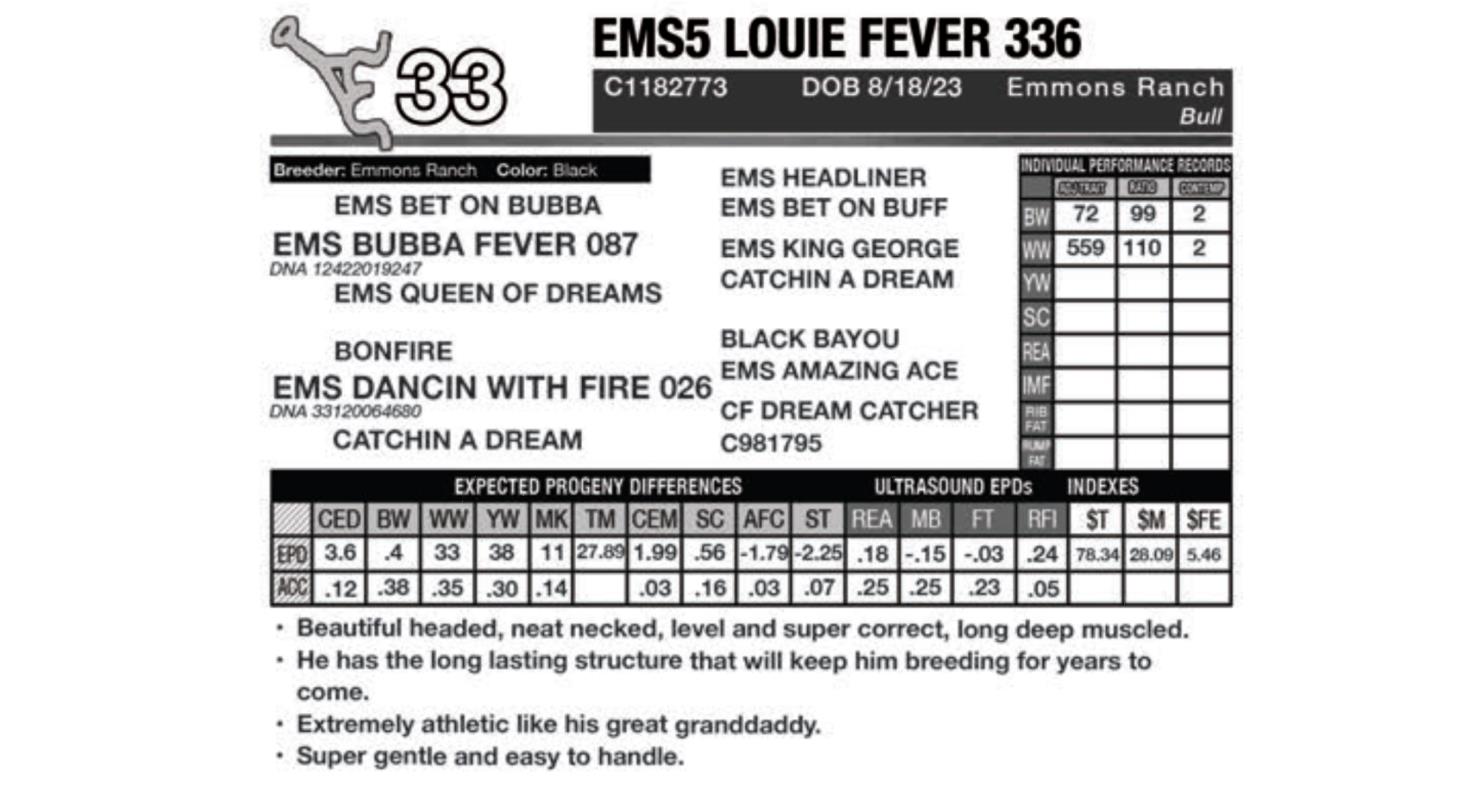 Lot 33: Emmons Ranch - Bull & Female Sale | DVAuction