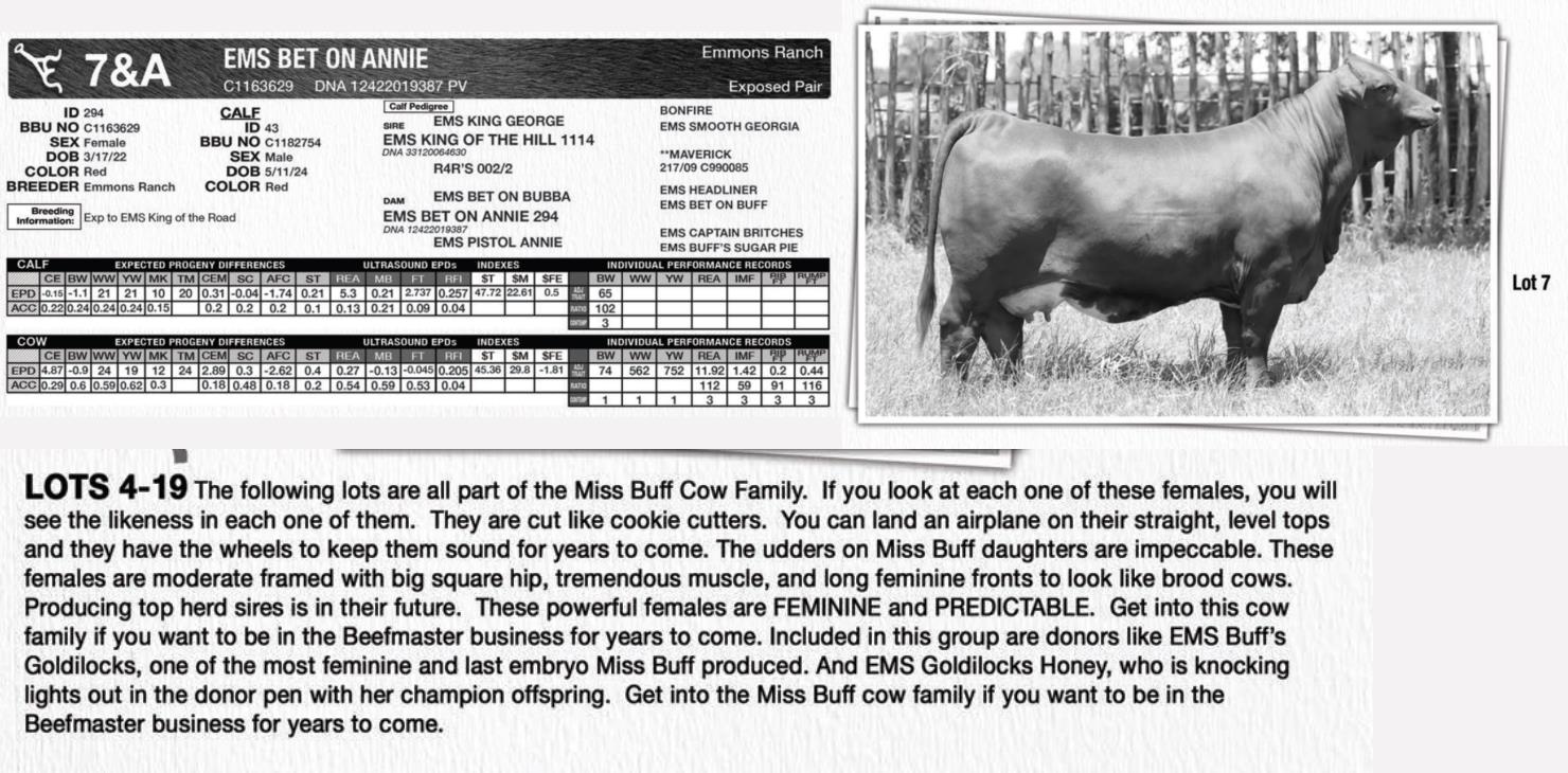 Lot 7: Emmons Ranch - Annual Production Sale | DVAuction