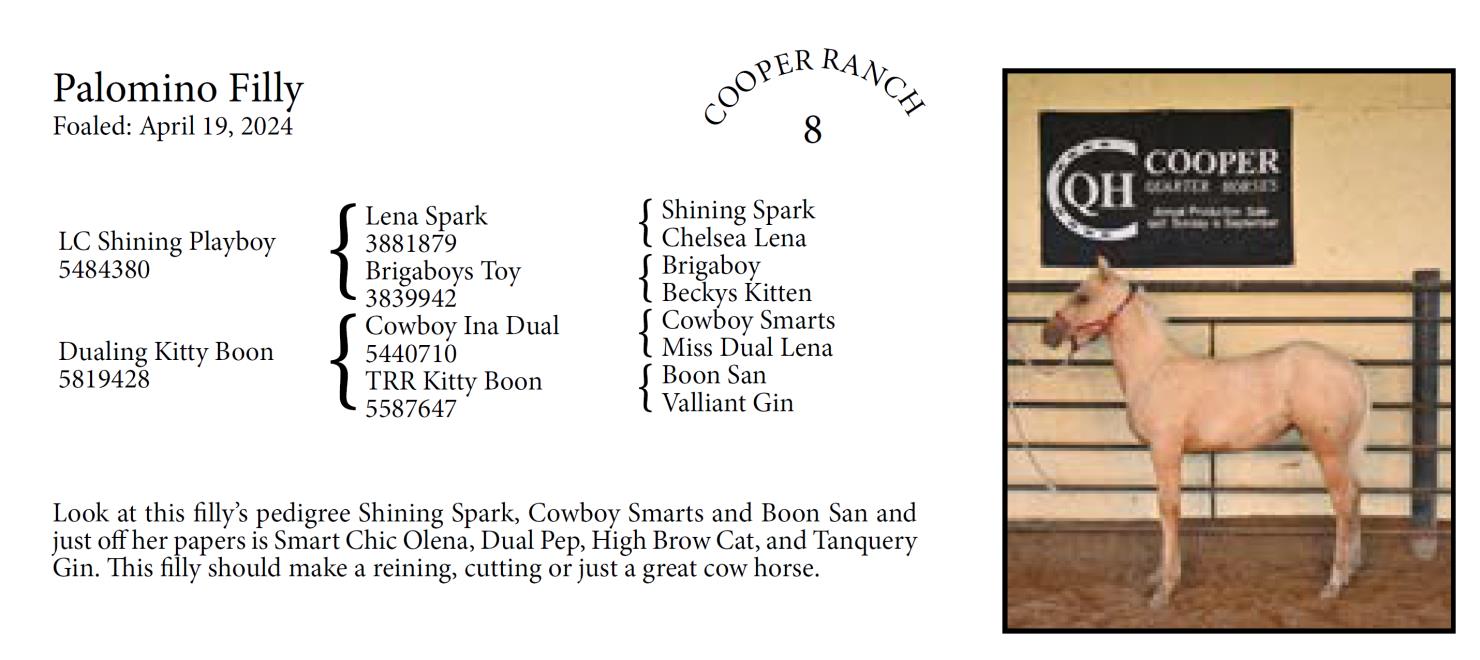 Lot 8: Cooper Quarter Horses - 44th Annual Production Sale | DVAuction