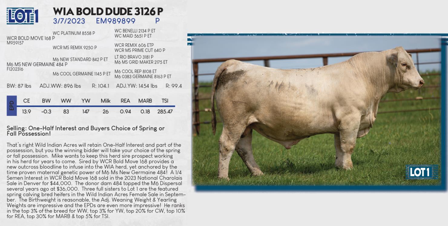 Lot 1: Wild Indian Acres - Fall Bull Sale | DVAuction