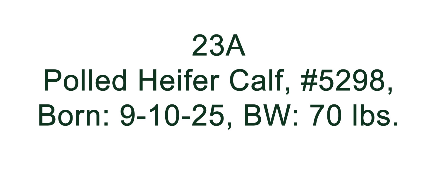 Lot 23a: Wild Indian Acres - River City Collection | DVAuction