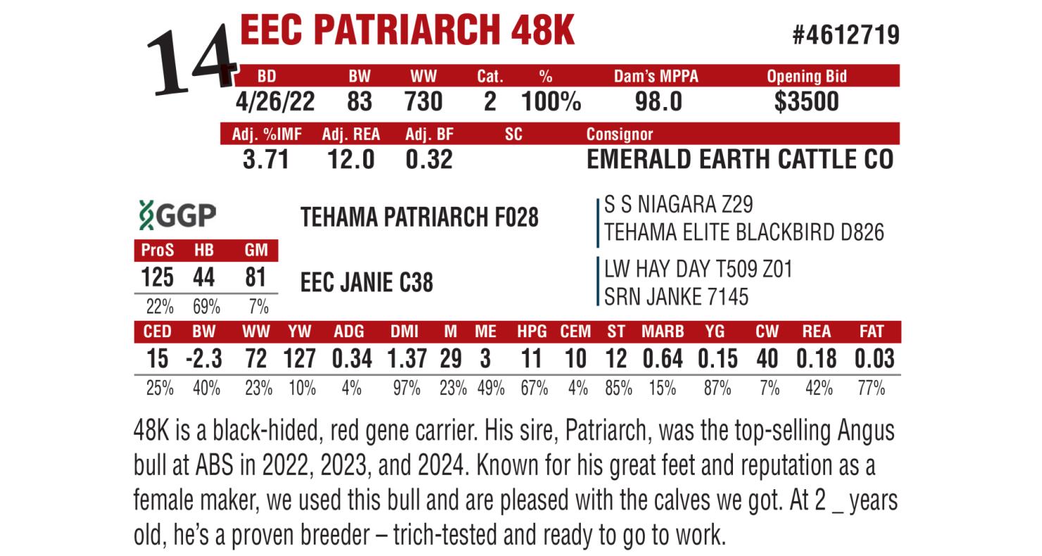 Lot 14: Red Tie Event - Online Sale | Red Tie Event