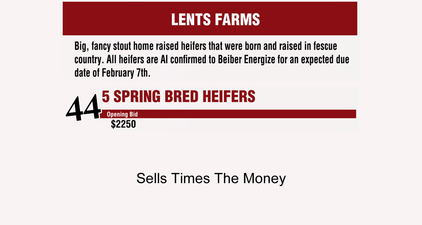 Lot 44: Red Tie Event - Online Sale | Red Tie Event