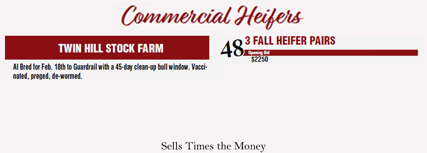 Lot 48: Red Tie Event - Online Sale | Red Tie Event