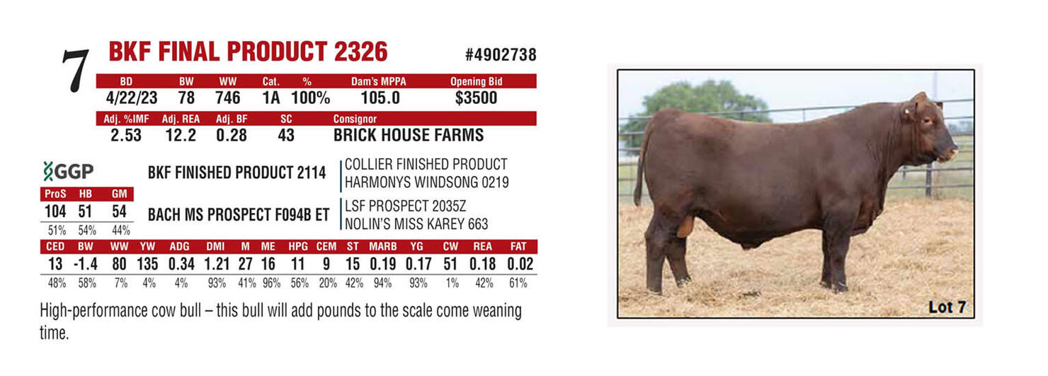 Lot 7: Red Tie Event - Online Sale | Red Tie Event