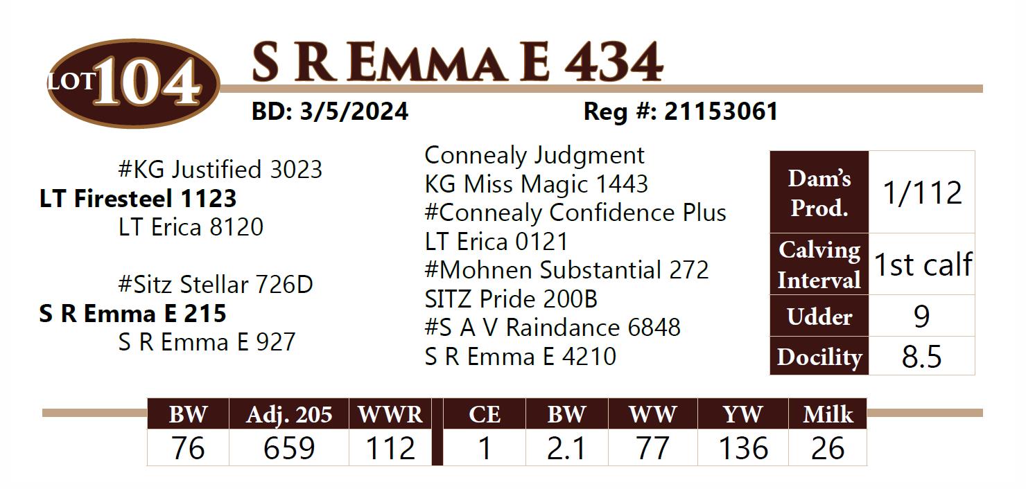 Lot 104: Strommen Ranch - Annual Production Sale | DVAuction