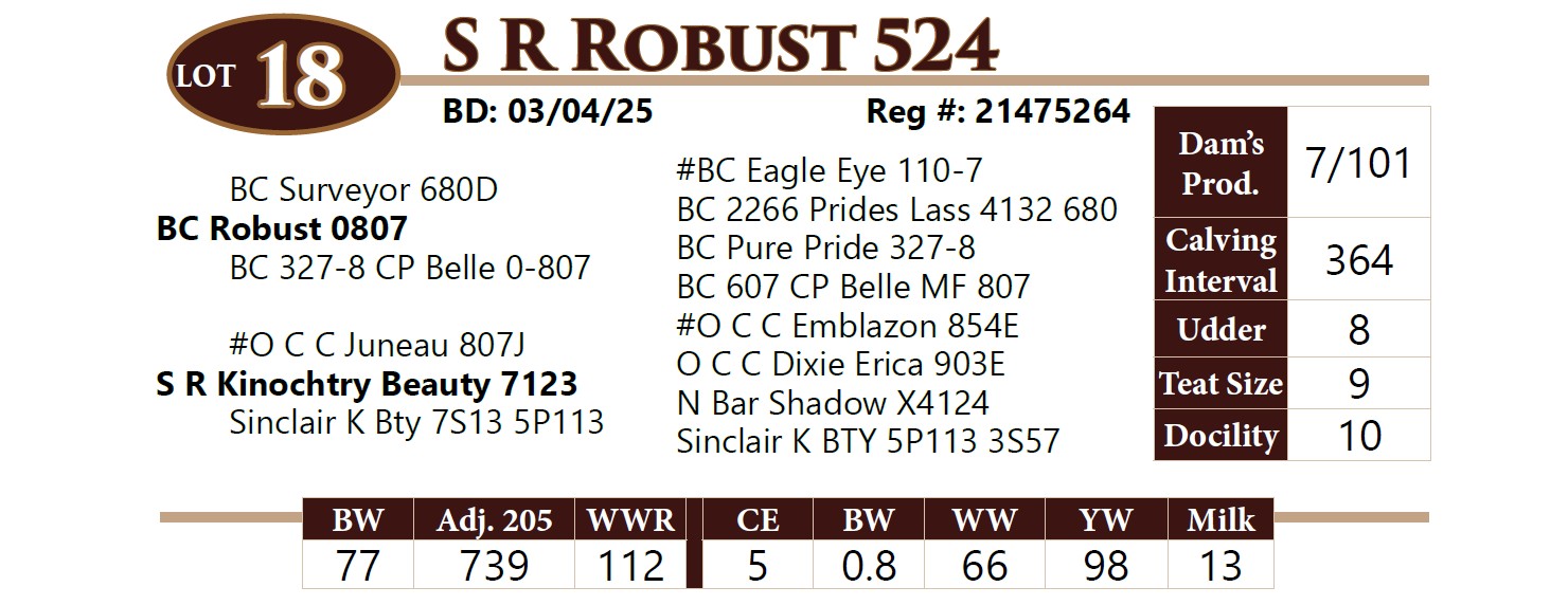 Lot 18: Strommen Ranch - Maternal POWER Angus Bull Sale | DVAuction