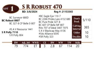 Lot 1: Strommen Ranch - Annual Production Sale | DVAuction