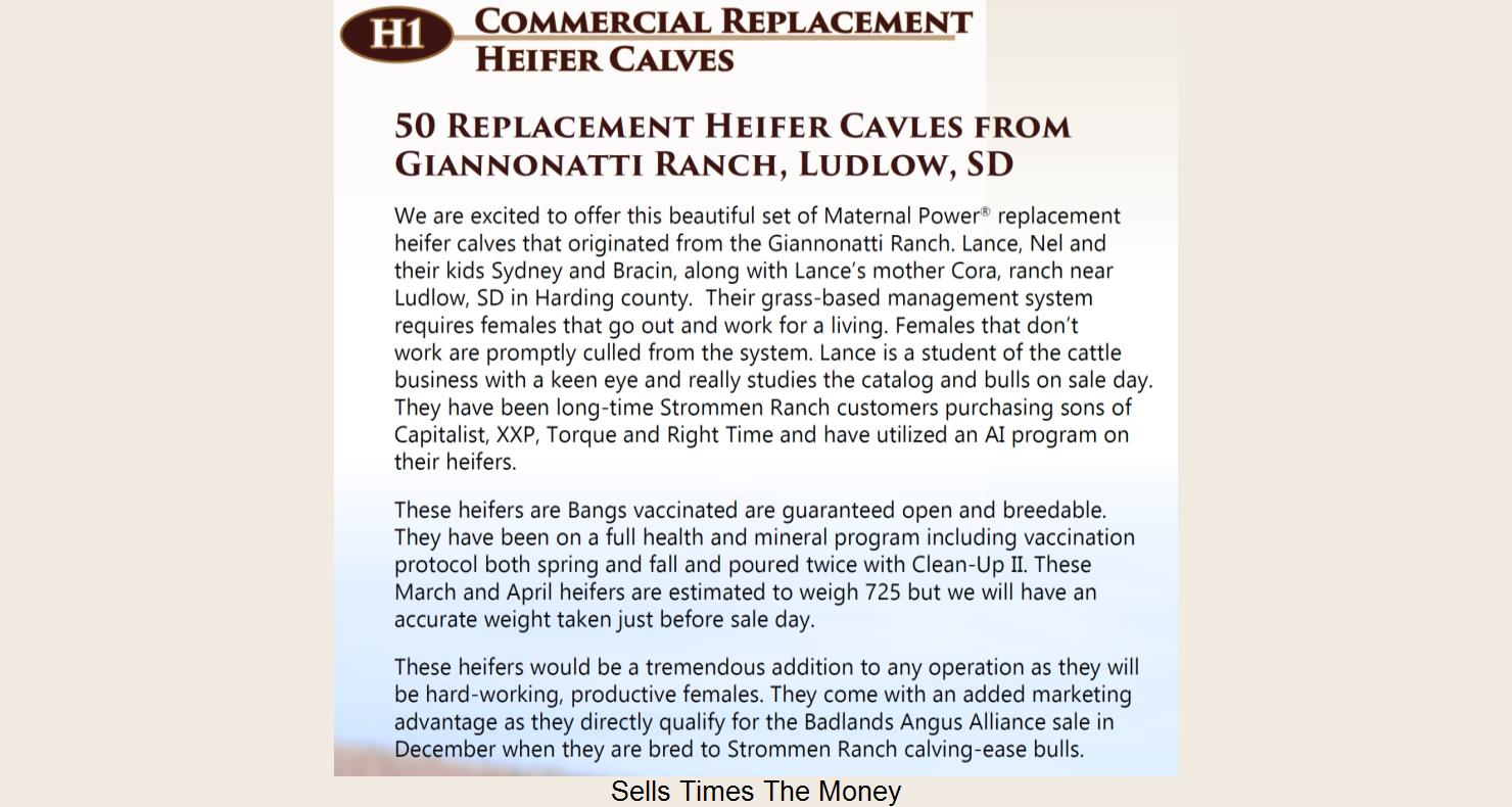 Lot h1: Strommen Ranch - Annual Production Sale | DVAuction