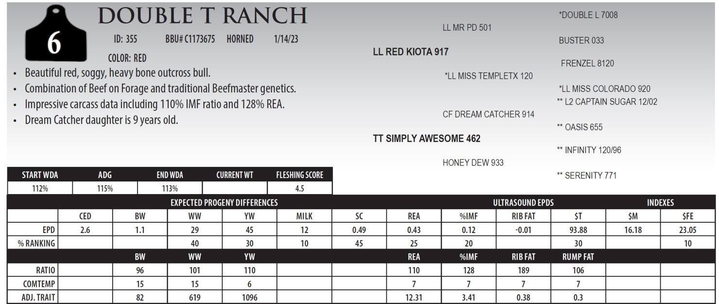 Lot 6: Beef ON Forage - Beefmaster Bull Sale | DVAuction